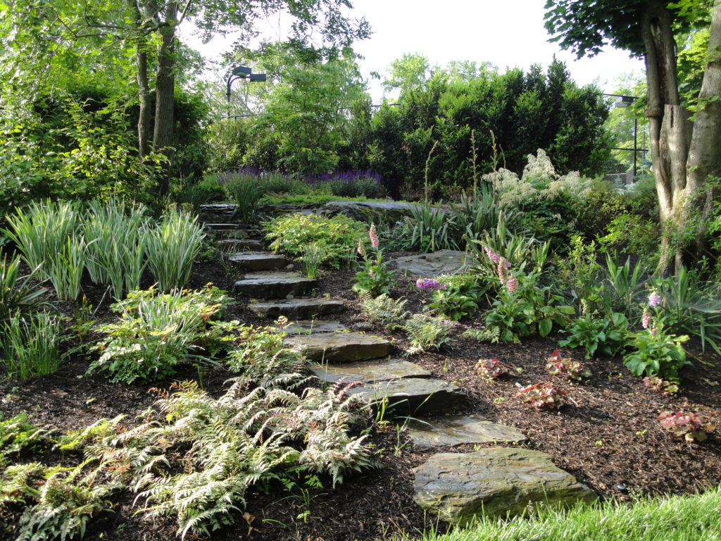 Landscaping Plants | Chantilly VA | Greenworks Landscaping